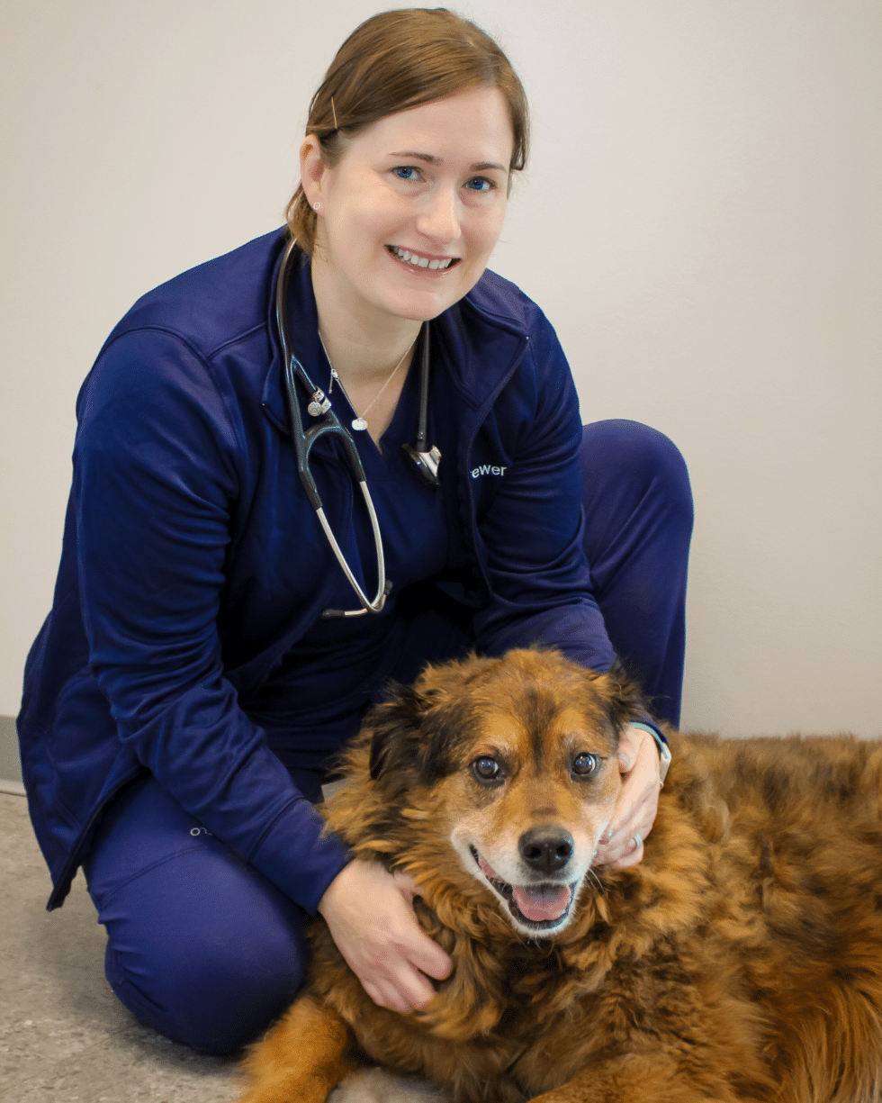 Meet Our Doctors & Staff - Haw River Animal Hospital